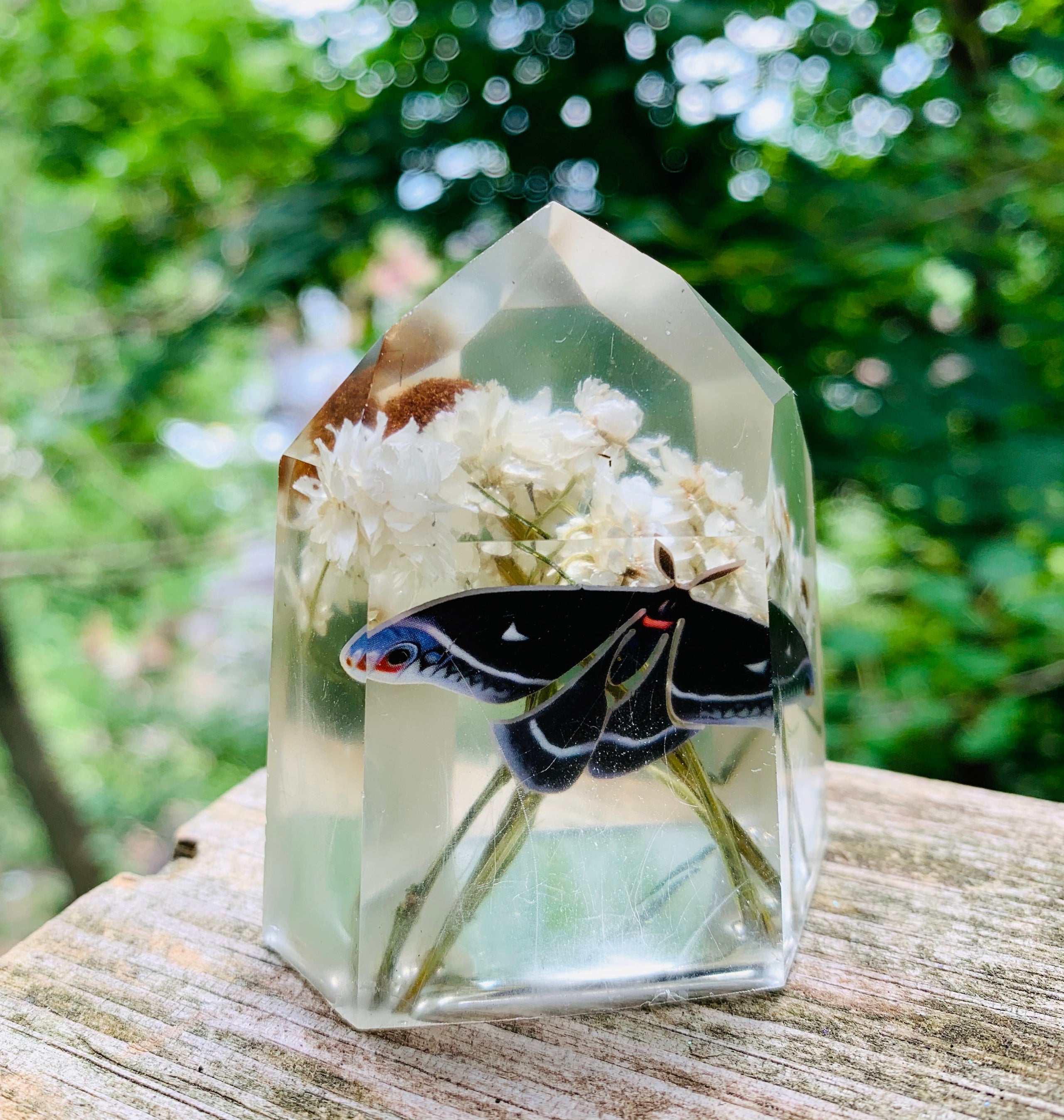 Medium Botanical Moth Crystal | Elven Caravan